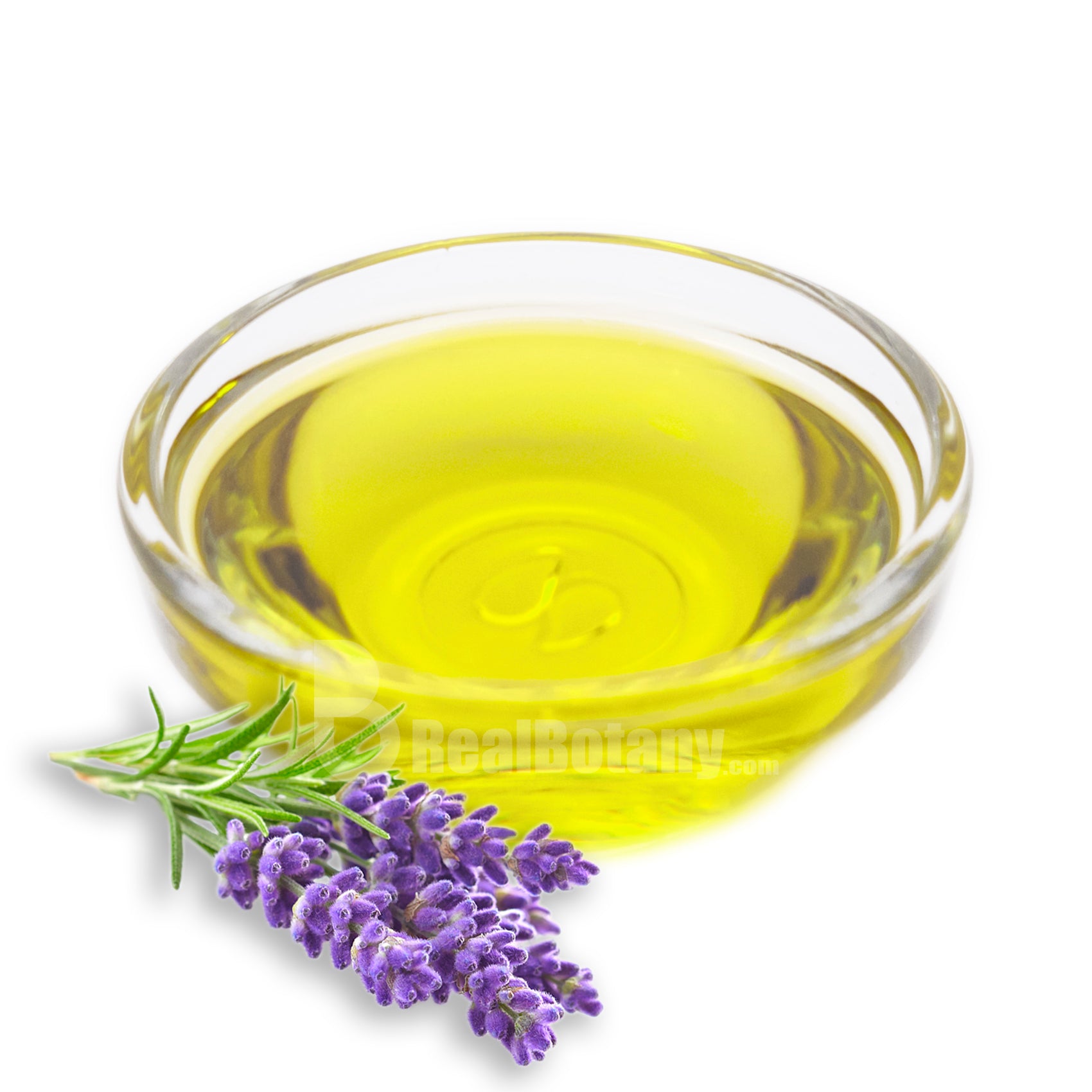 Lavender USDA Organic Infused Extra Virgin Olive Oil - REAL BOTANY